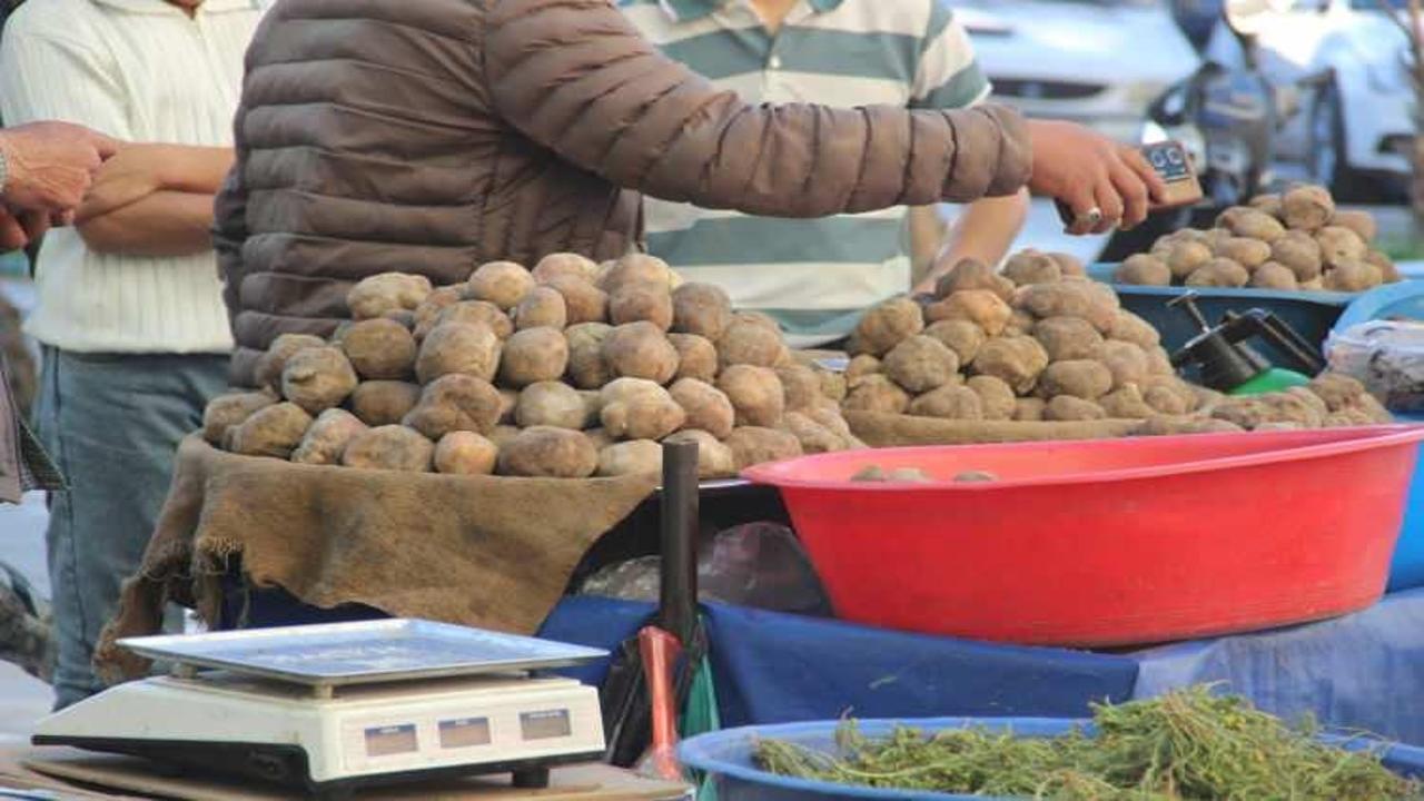 Gören patates sanıyor! Kilogramı 2 bin TL'ye dayandı