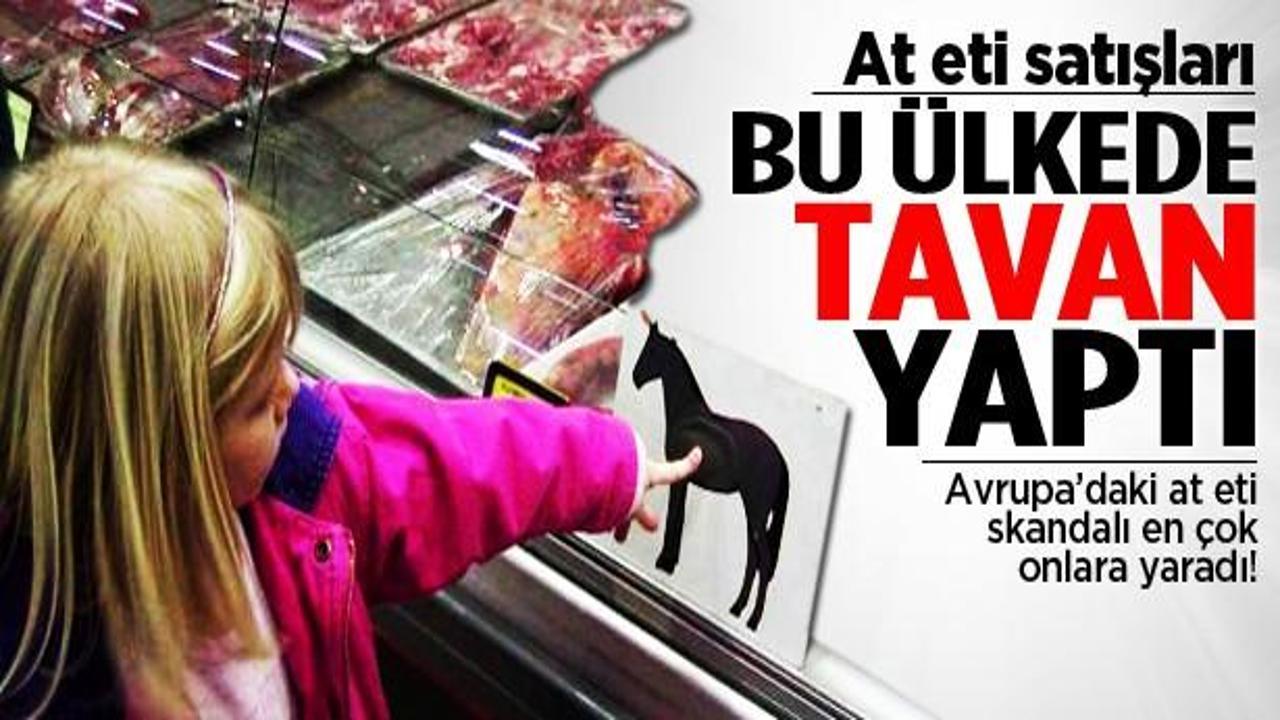 Belçika'da at eti satışları tavan yaptı! - Haber 7 Avrupa