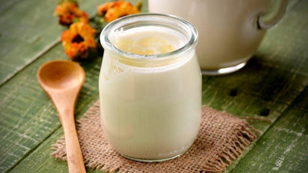 Kefir nedir, nasıl mayalanır? İşte, kefirin bilinmeyen tüm faydaları ...