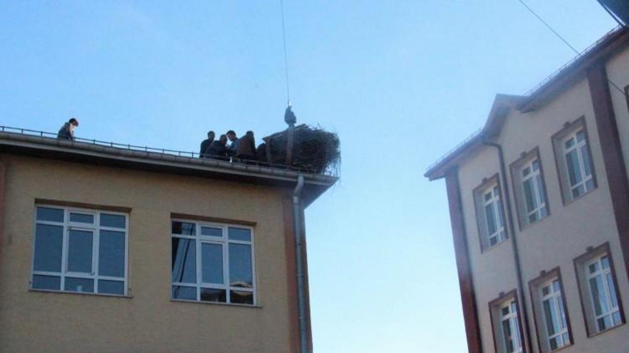 Leylek yuvası vinçle taşındı - Haber 7 Hayvanlar alemi