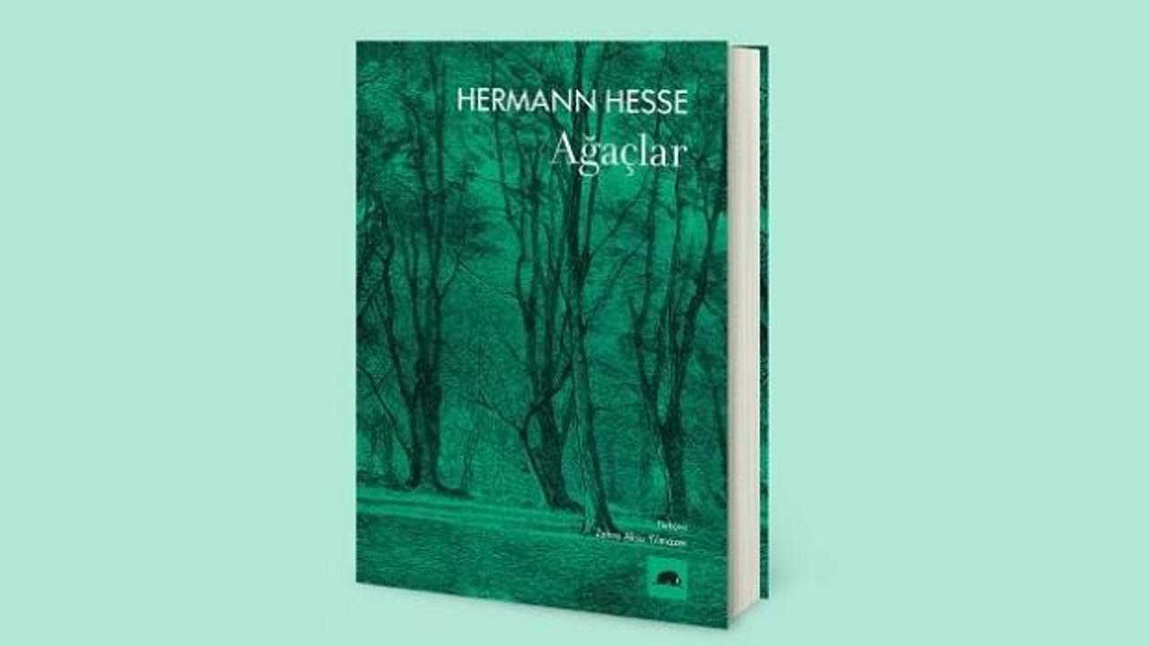 Hermann Hesse'nin Ağaçlar Kitabı Türkçe'de - Haber 7 KİTAP