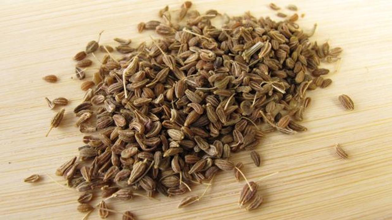 Anason çayının faydaları neler? Anason çayı nasıl demlenir? - Haber 7 ...