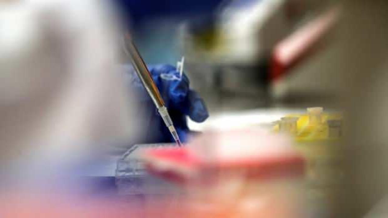 ABD'li ilaç devi Johnson&Johnson'dan koronavirüs aşısı açıklaması ...