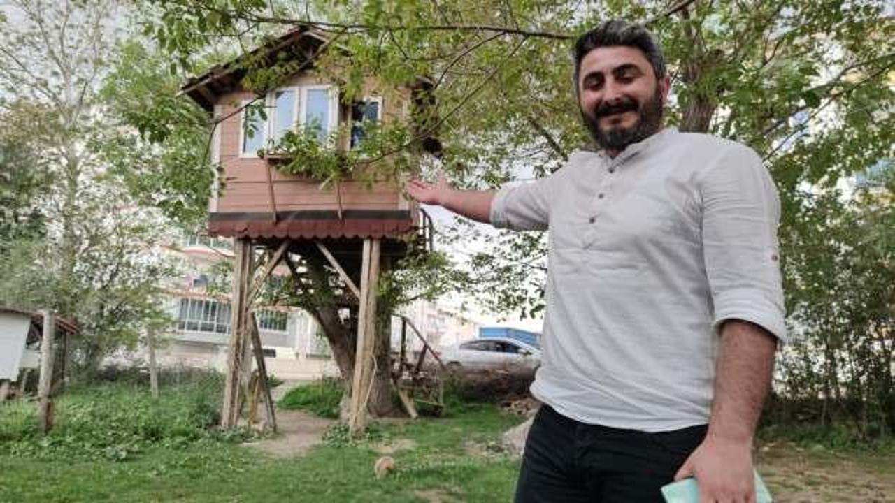 Koronadan kaçmak istediler, ‘ağaç kondu’ yaptılar! - Haber 7 YAŞAM