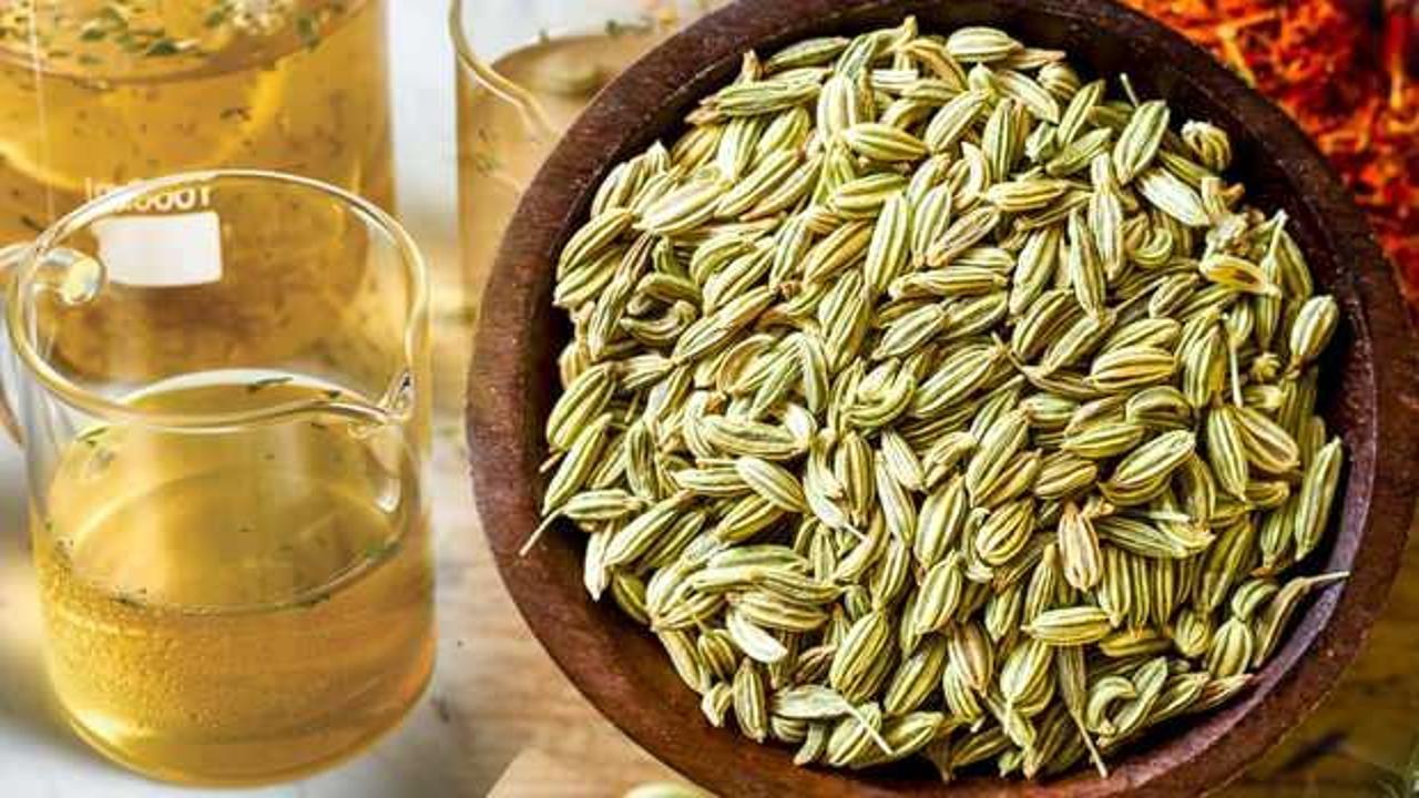 Rezene çayı faydalar nelerdir? Rezene çayı nasıl yapılır ve ne zaman ...