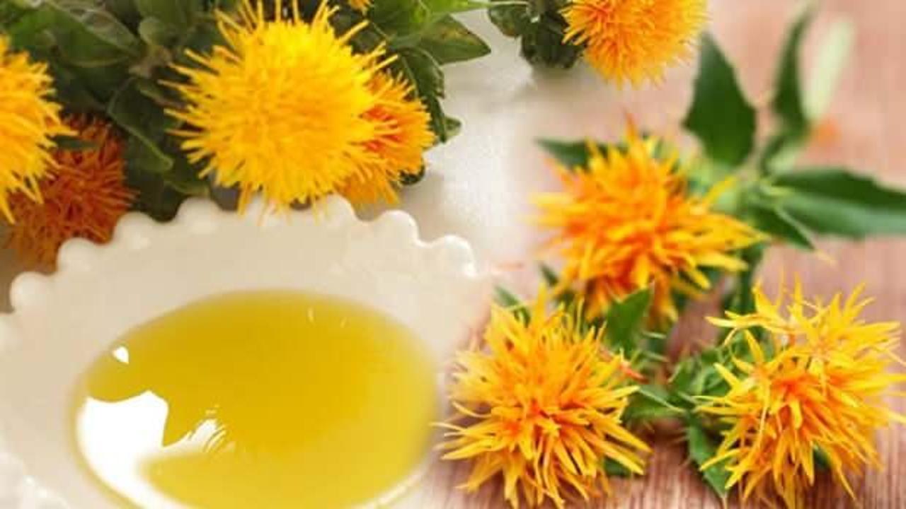 Aspir yağı nedir, faydaları nelerdir? Aspir yağı nasıl kullanılır ...