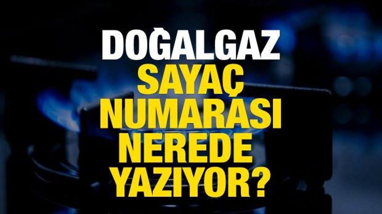 Doğalgaz sayaç numarası nerede yazar? 2022 Doğalgaz faturası ...