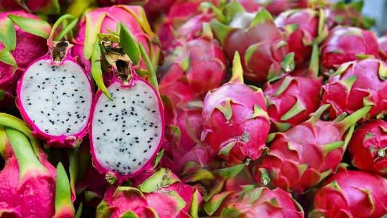 Ejder meyvesi faydaları nelerdir? Ejder meyvesi nasıl kesilir? - Haber 7 SAĞLIK