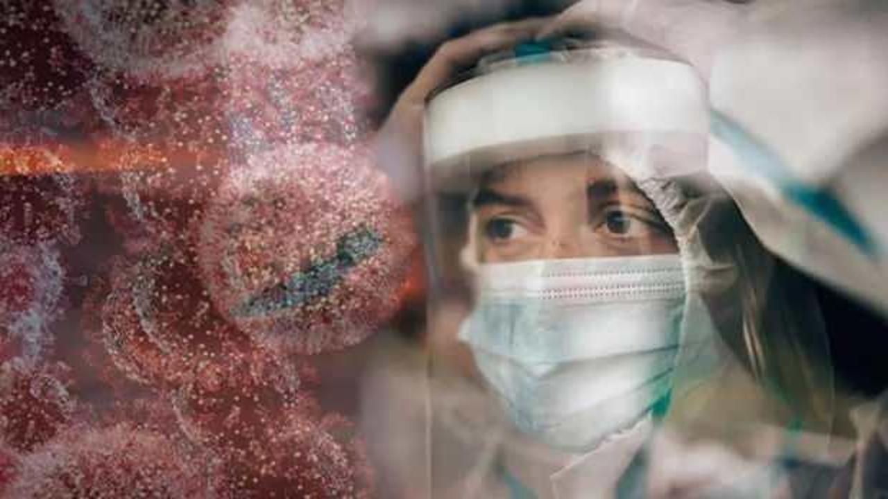 Prof. Dr. Şener'den domuz gribi uyarısı: Covid-19 kadar bulaşıcı ve ...