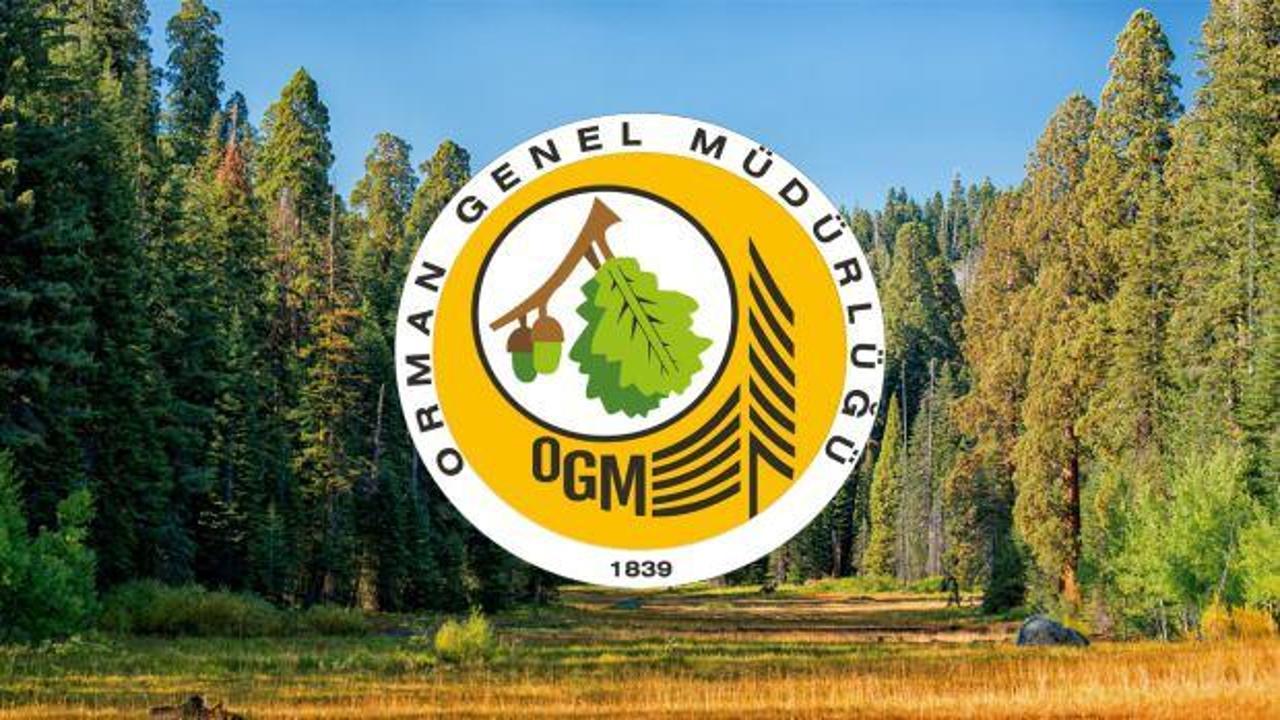 OGM en az lise mezunu personel alımı devam ediyor! Orman Genel ...