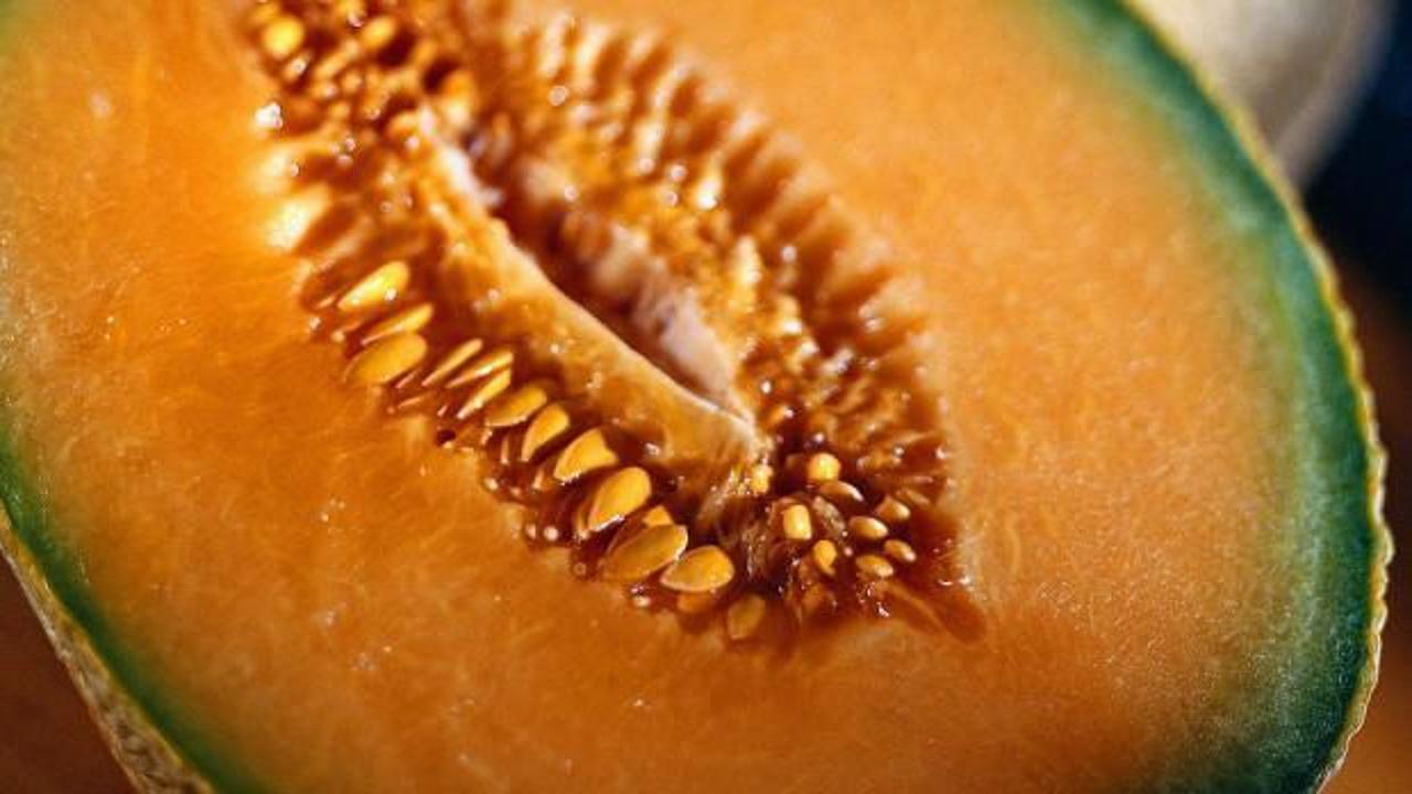 Kavun çekirdeği nasıl tüketilir, faydaları nelerdir? Kavun çekirdeği ...