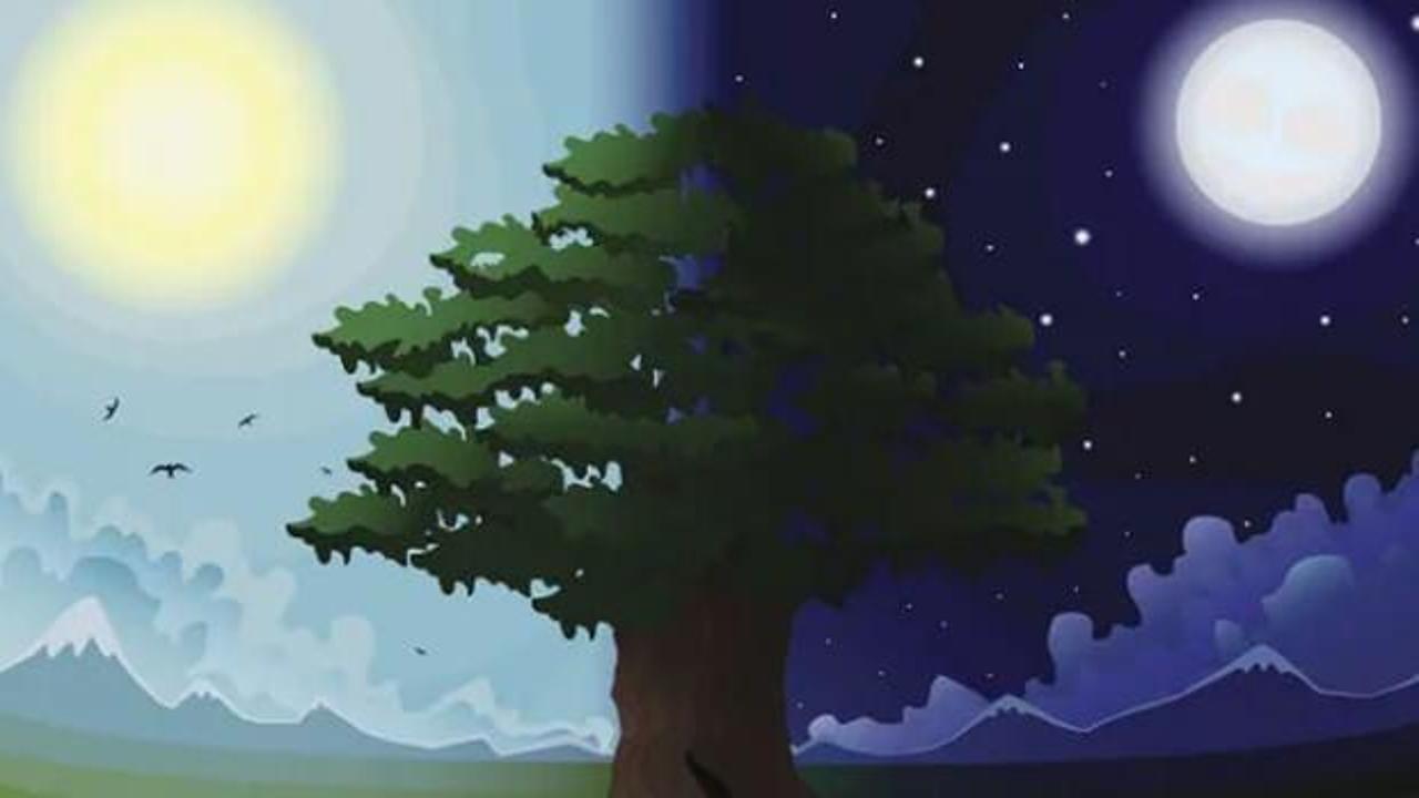 Oksimoron nedir, ne demek? Oksimoron örnekleri, kelimeleri... - Haber 7 ...