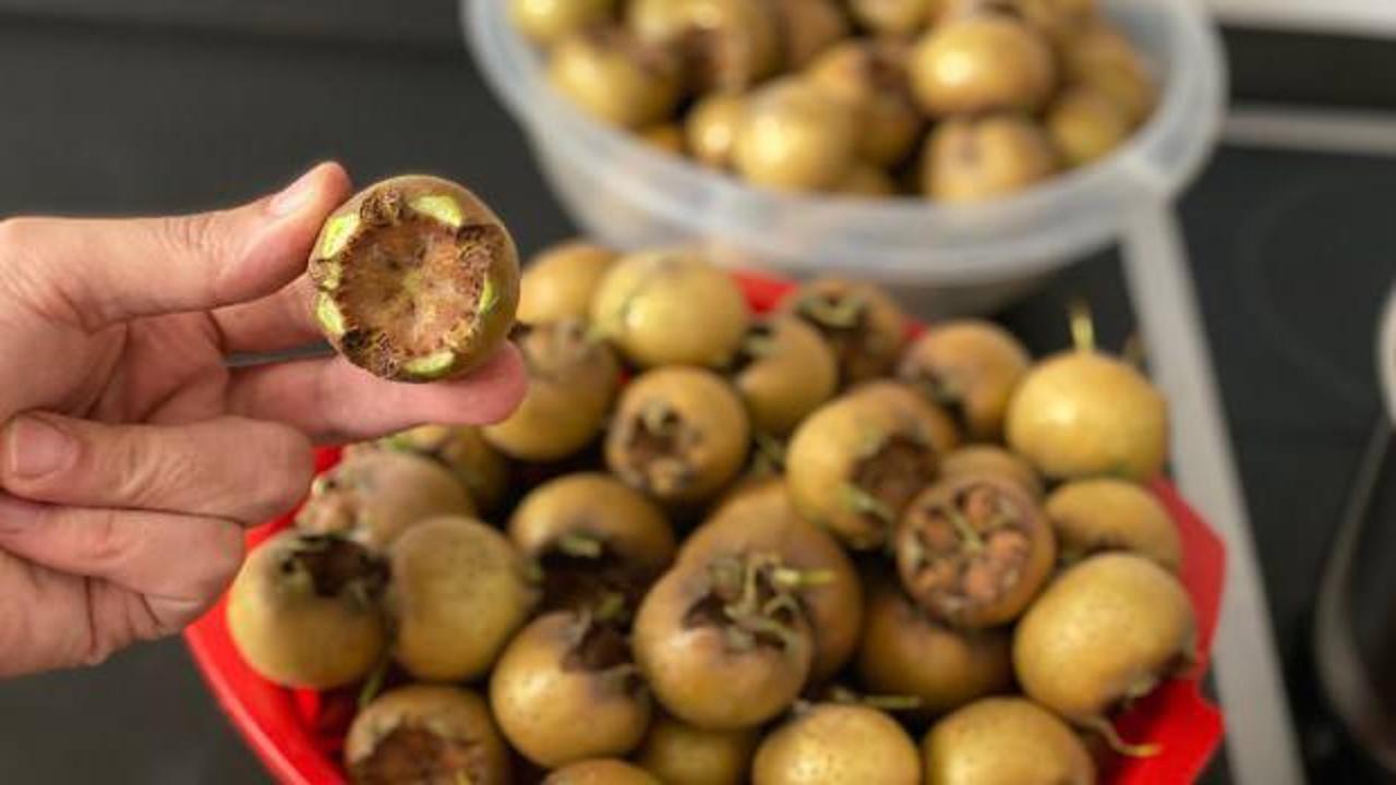 Muşmula, Töngel meyvesinin faydaları: Muşmula çekirdeği ve yaprağı ...