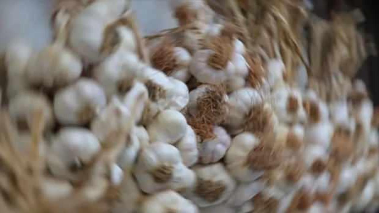 Mehina sarımsağı tescillendi - Ekonomi Haberleri EKONOMİ