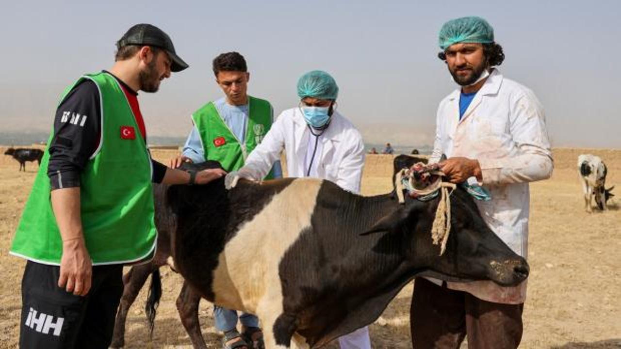 İHH yurt dışı kurban hisse bedelini açıkladı - Haber 7 GÜNCEL
