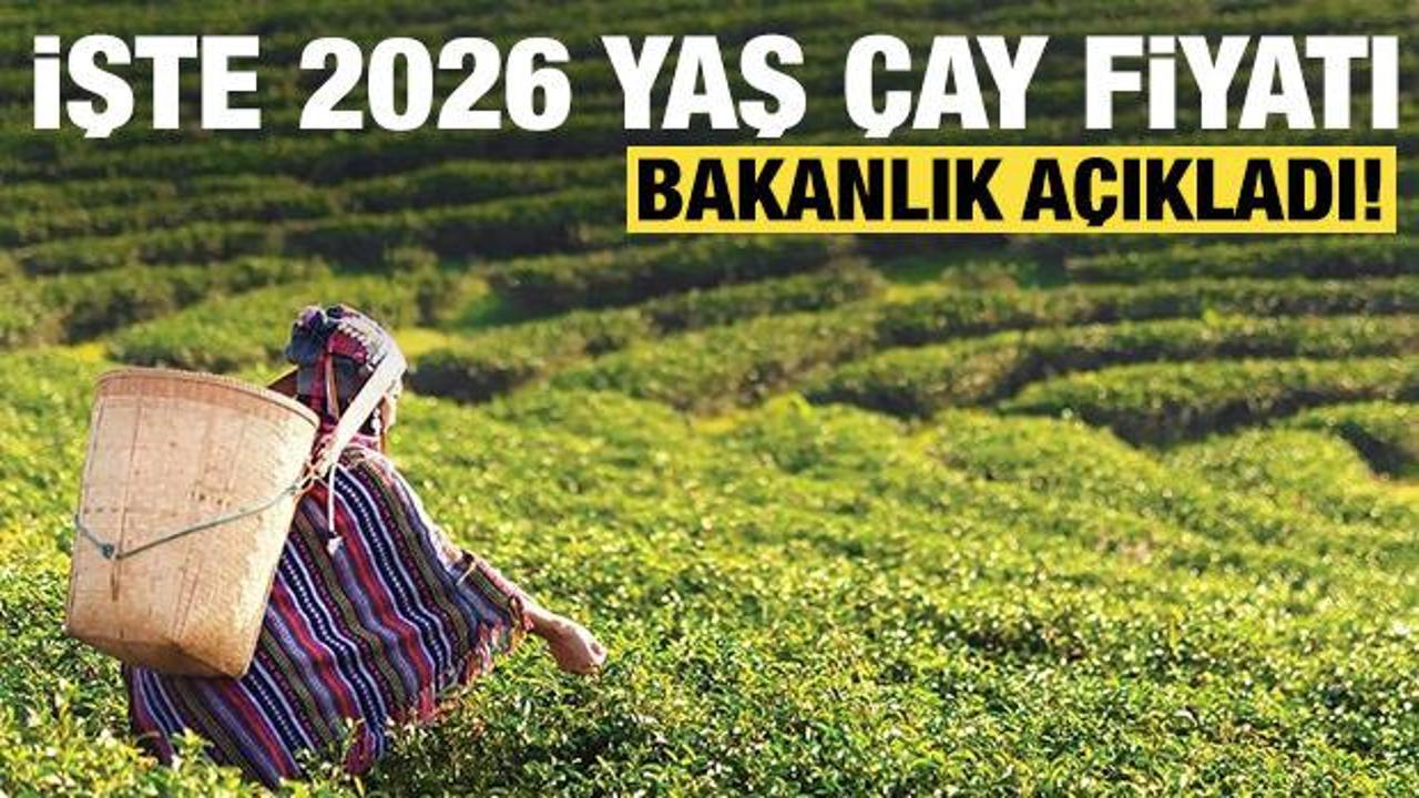 Son dakika: 2026 yaş çay alım kilogram fiyatı belli oldu - Ekonomi ...