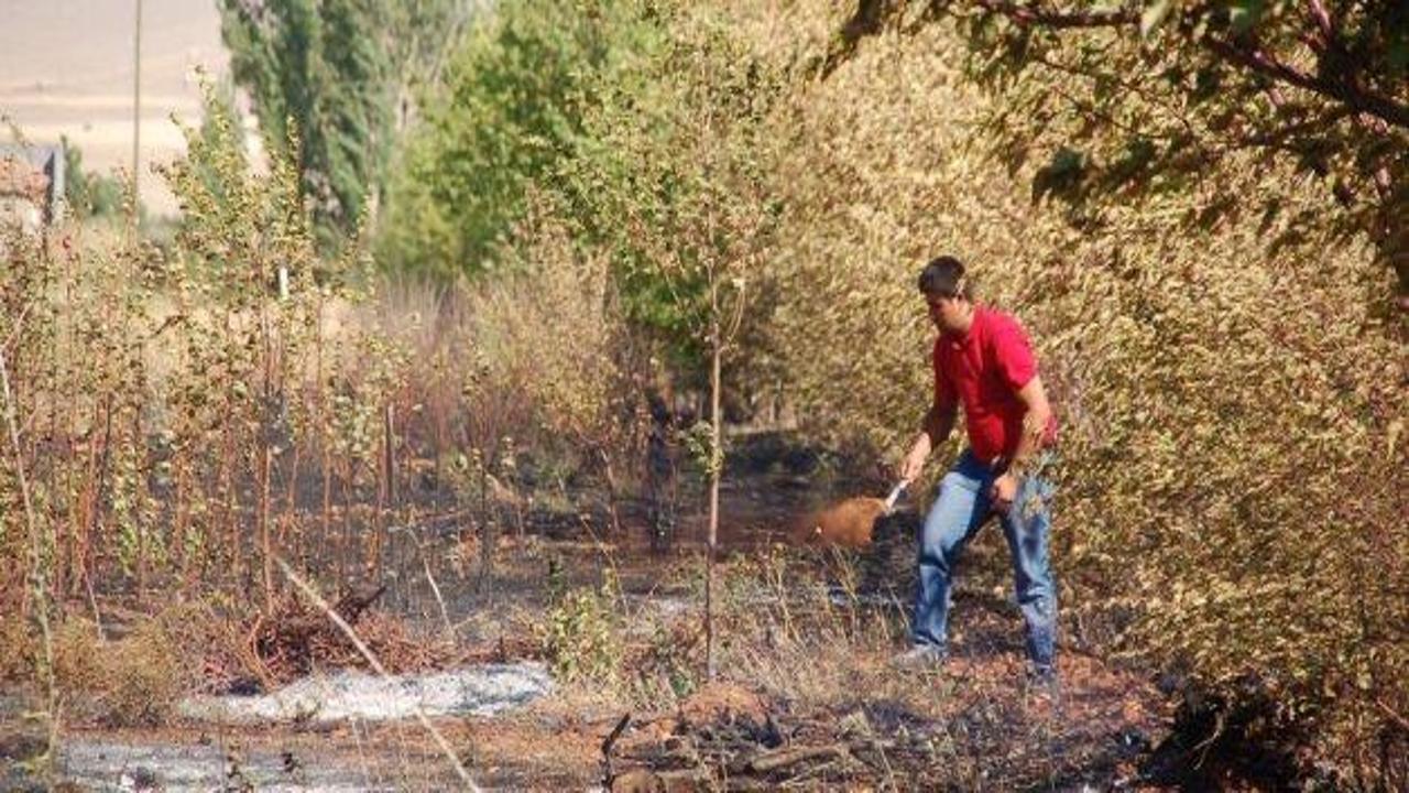 Kahramanmaraş'ta meyve bahçesinde yangın - Haber 7 GÜNCEL