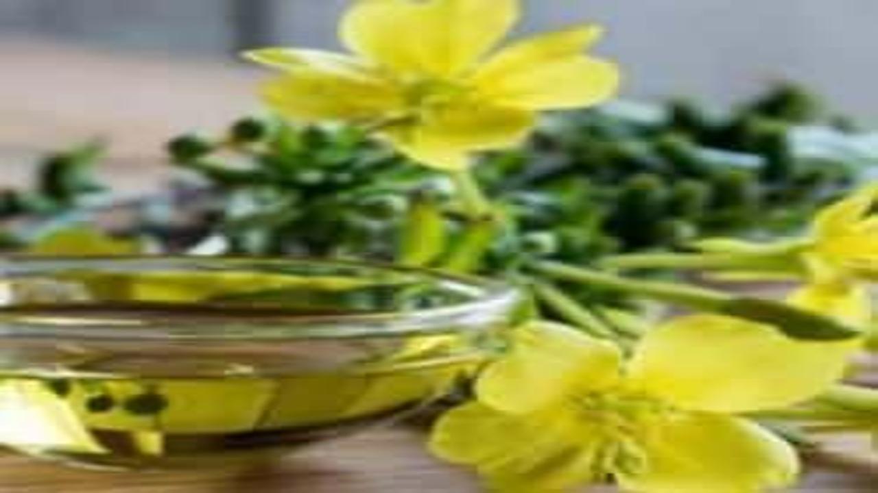 Çuha çiçeği faydaları ve zararları nelerdir? Gece çuha çiçeği yağı ... Çuha çiçeği faydaları ve zararları nelerdir? Gece çuha çiçeği yağı ...