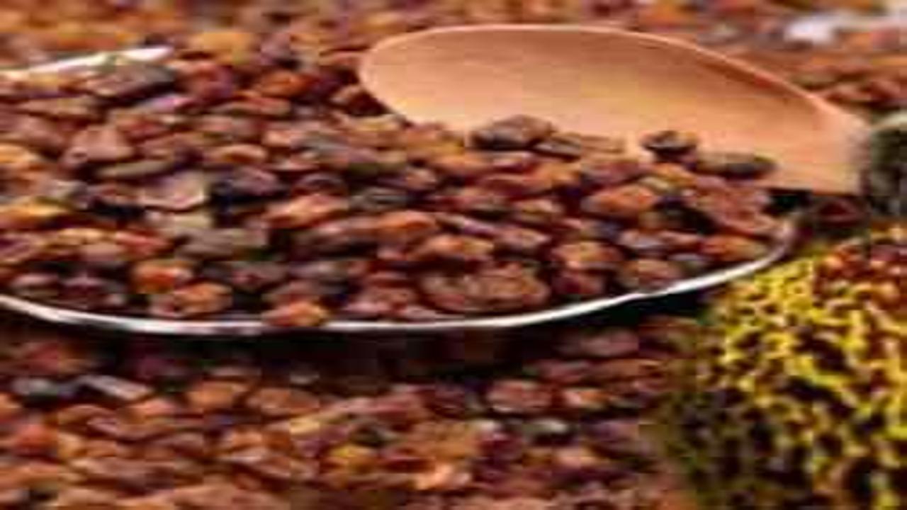 Arı ekmeği nedir? Arı ekmeğinin faydaları ve zararları nelerdir ...