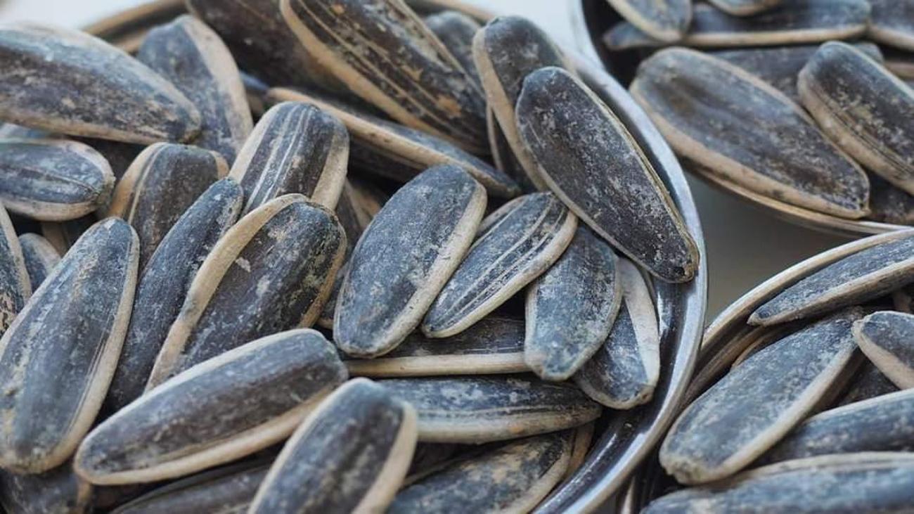 Çekirdek çitlemenin faydaları nelerdir? Günde bir avuç çekirdek ...