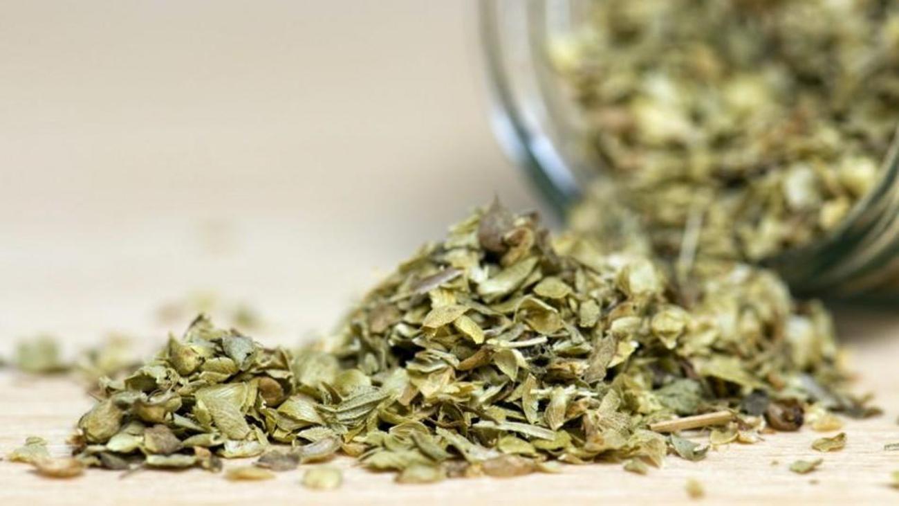 Nane nasıl yetiştirilir? Nane nasıl kurutulur? Fırında kurutma yöntemi ...