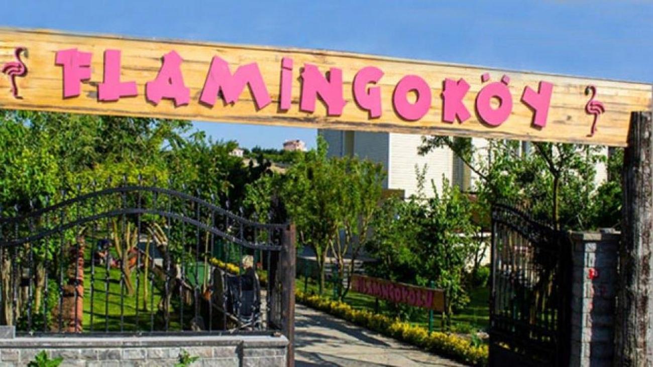 Flamingo köy nerede? Nasıl gidilir? Flamingo köy kahvaltı fiyatı ... Flamingo köy nerede? Nasıl gidilir? Flamingo köy kahvaltı fiyatı ...