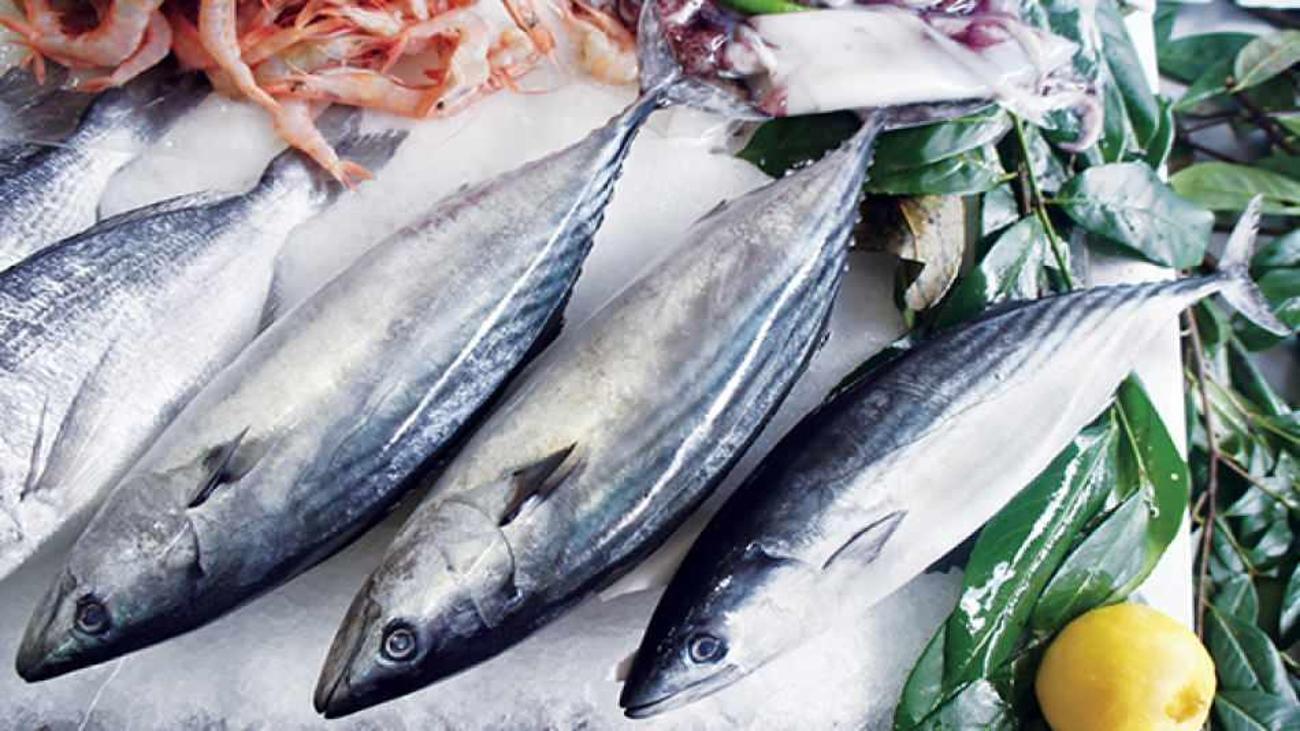 Sahte palamut nasıl anlaşılır? Palamut alırken nelere dikkat ...