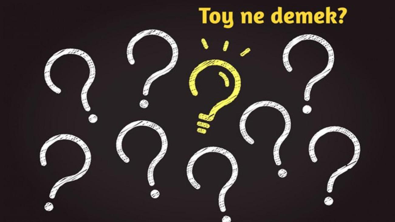 Toy ne demek, ne anlama gelir? TDK'ya göre toy kelimesinin anlamı nedir ...