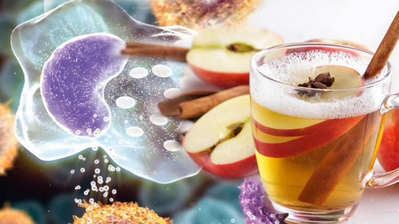 Toksin nedir? Toksin nasıl birikir? Bağırsaklardaki toksinleri 72 ...