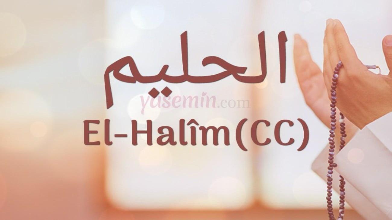 El-Halim (c.c) ne demektir? El-Halim faziletleri nelerdir? Esmaül Hüsna ...
