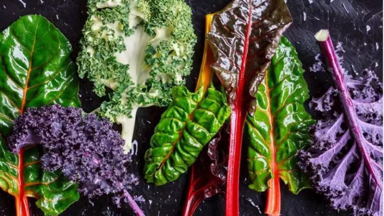 Pazı nedir? Kale bitkisi nedir? Kale ve pazı arasındaki fark nedir ...