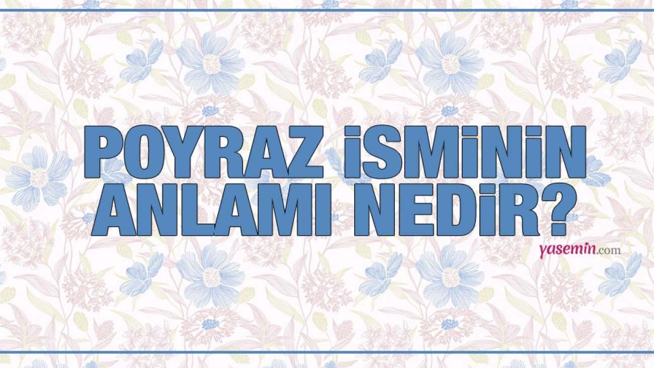 Poyraz ne demek? Poyraz isminin anlamı nedir? Poyraz ismi Kuran'da ...