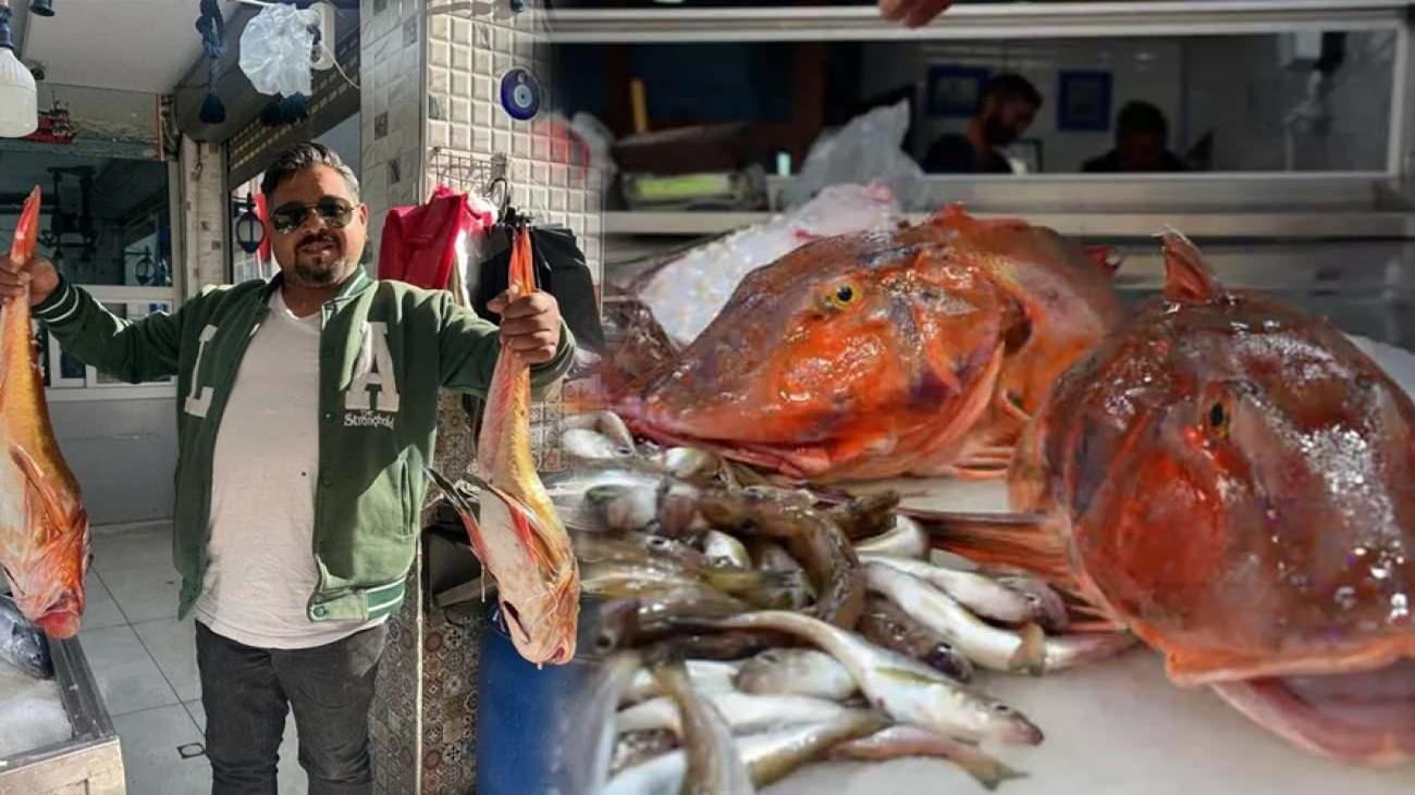 Kilosu 350 liradan satışta! Kırlangıç balığına halk yoğun ilgi ...