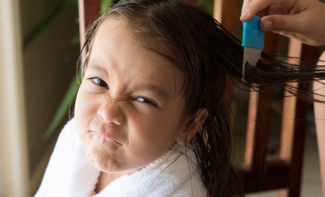 Karışan saçlar nasıl kolay taranır? - Çocuk Haberleri