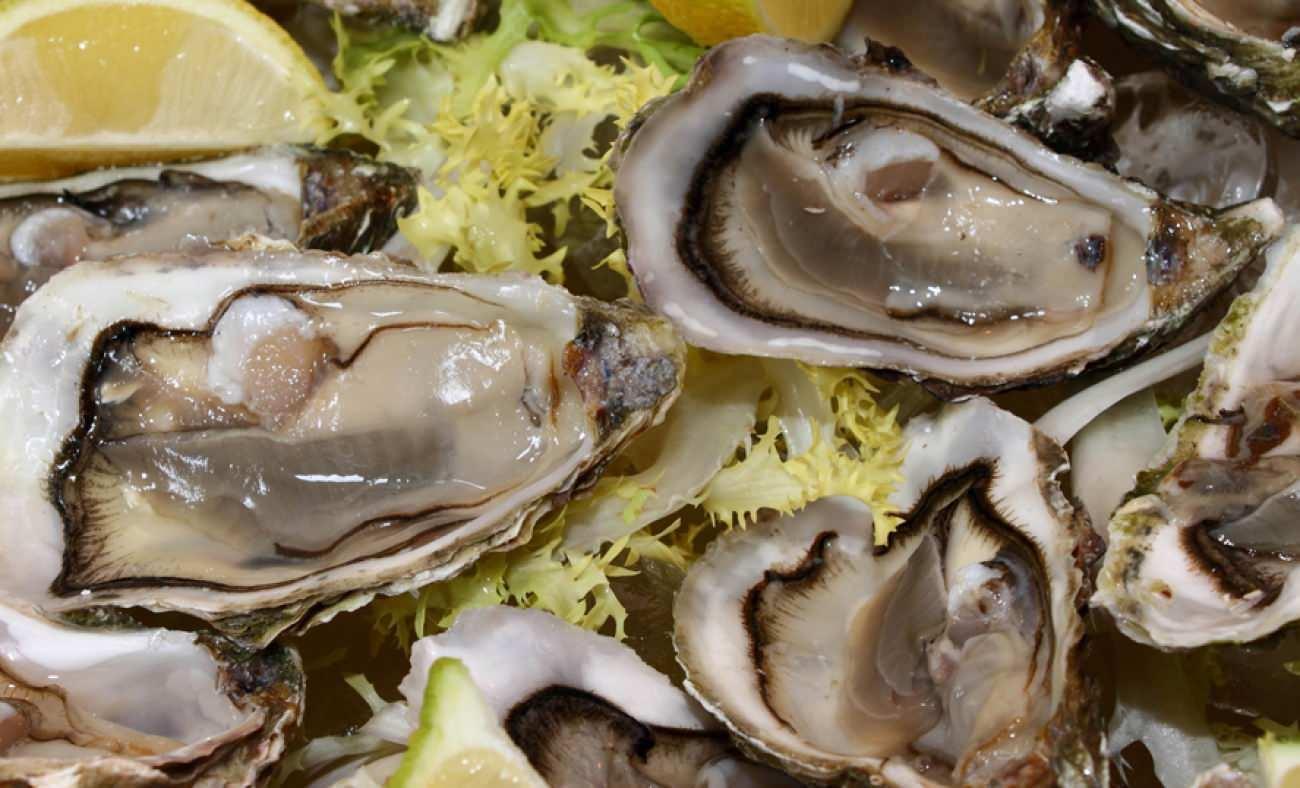 İstiridye nedir ve istiridye nasıl temizlenir? İstiridye nasıl yenir ve ...