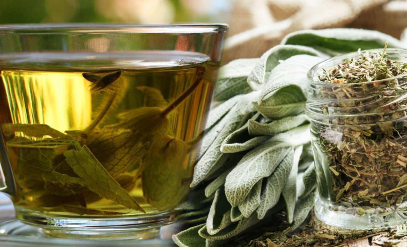 Her gün bir bardak adaçayı içerseniz! Adaçayının bilinmeyen faydaları ...