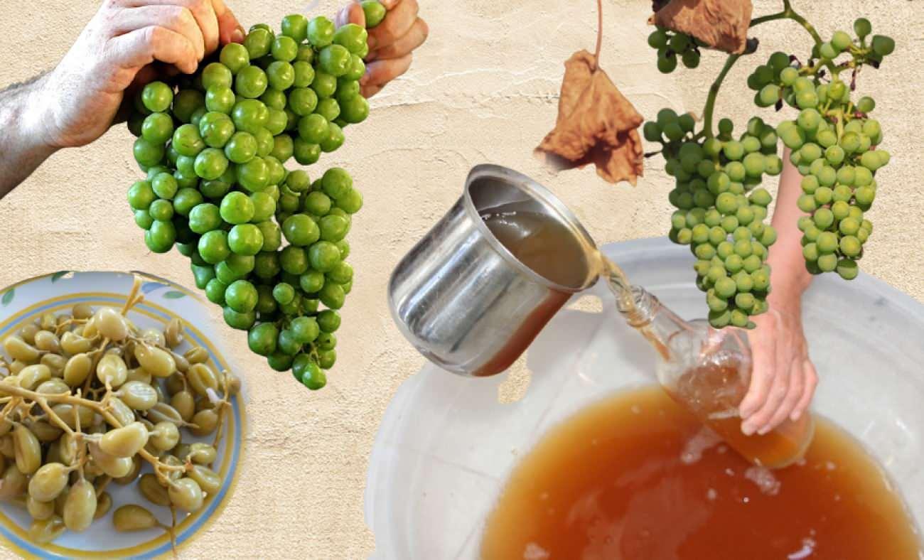 Koruk nedir? Koruk suyu nasıl yapılır? Koruk suyunun faydaları nelerdir ...