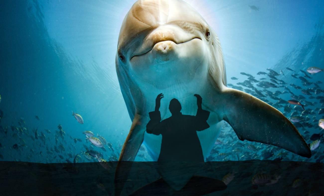 Hz. Yunus Peygamber'in tövbe duasının faziletleri nelerdir? Ne anlama ...