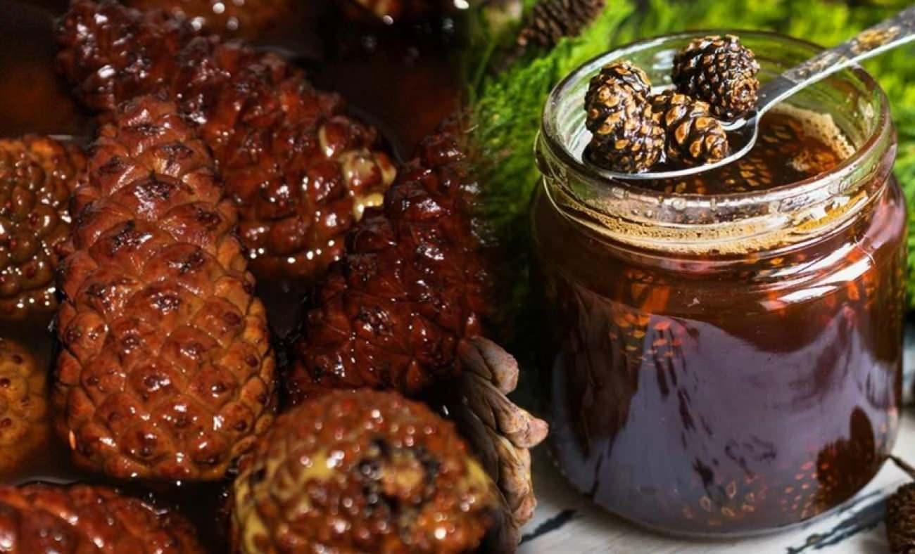 Kozalak şurubu nasıl yapılır? Kozalak şurubu tarifi - Yemek Haberleri