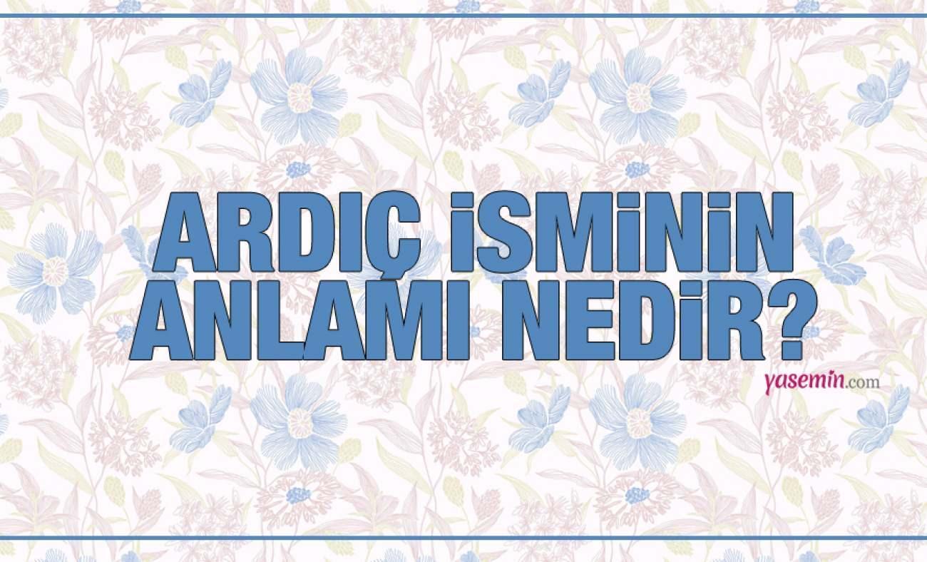Ardıç isminin anlamı nedir? Ardıç ismi Kuran'da geçiyor mu? Ardıç ...