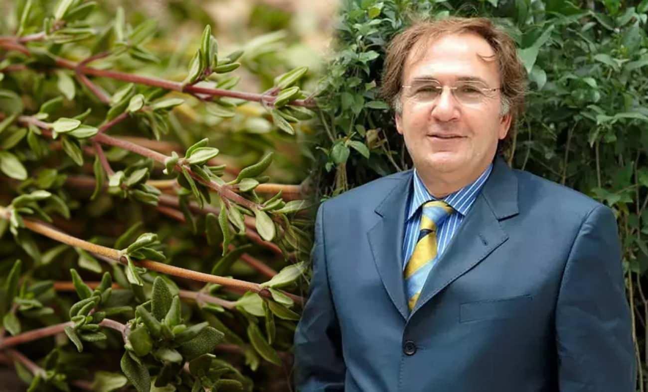 Prof. Dr. İbrahim Saraçoğlu'ndan Sigarayı Bıraktıran Kekik Kürü ...